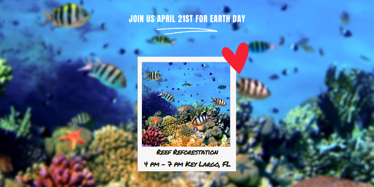 EARTH DAY 2023 - REEF RESTORATION AT THE REEFHOUSE — Site Florida ...