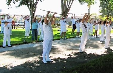 Longevity Stick (Online) — The Susi Q