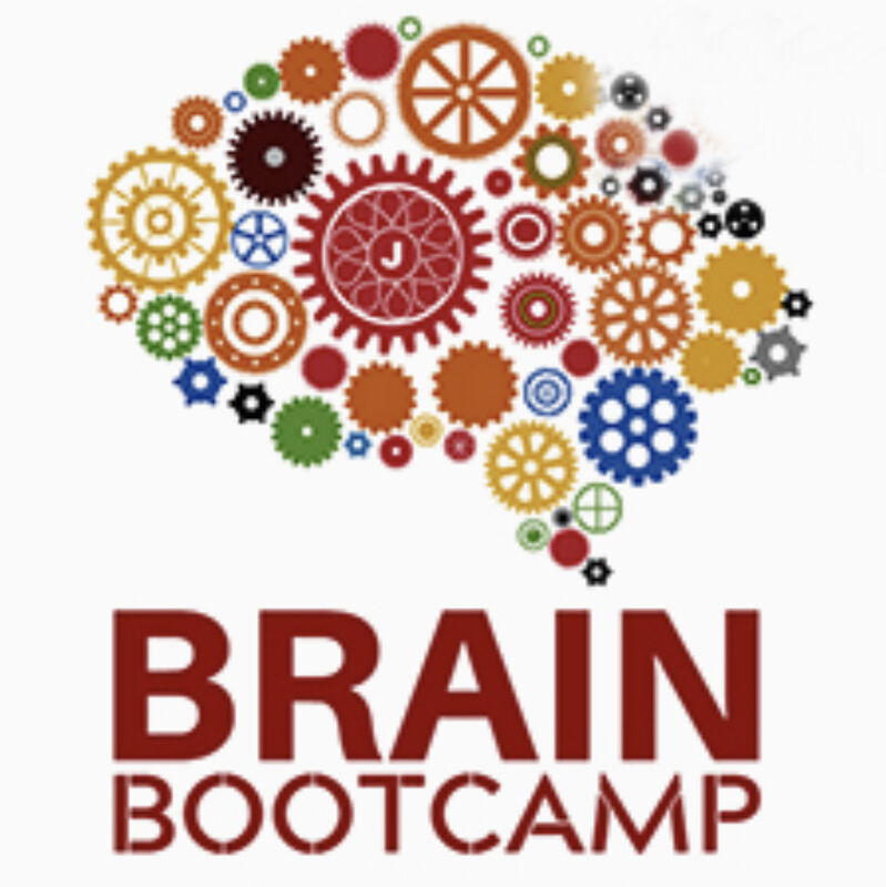 Brain Boot Camp (2-Part Series)In-Person — The Susi Q