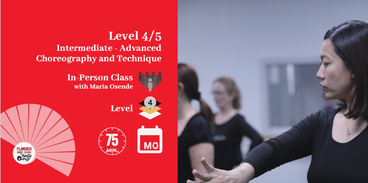 In-Person Flamenco Class (level 4) Intermediate — Flamenco and Ballet ...
