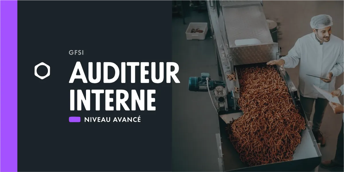 Auditeur interne — Datahex