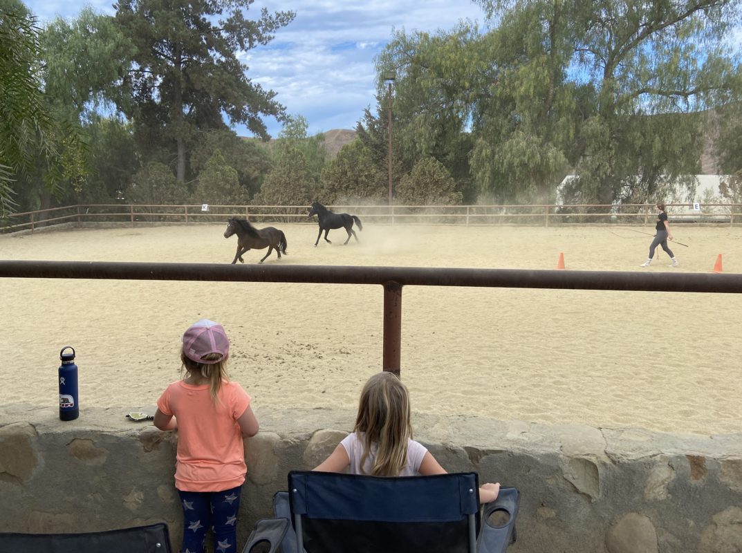 A Lotte Horses Horseback Riding Lessons Ages 7 13 A Lotte Horses Horseback Riding Lessons Ages 7 13
