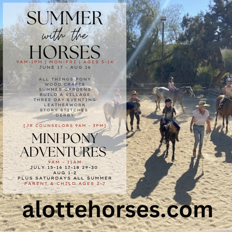 Summer with the Ponies & Horses — A Lotte Horses