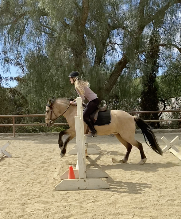 Intermediate - Thursdays 5pm — A Lotte Horses