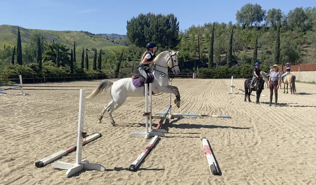 Jump Riding Lessons II - 13 weeks — A Lotte Horses