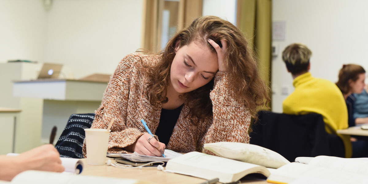 Hulp bij studietwijfels — UvA Training - Student Services